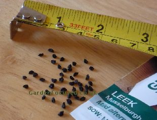 Expert advice on how, where and when to grow Leeks - GardenFocused.co.uk